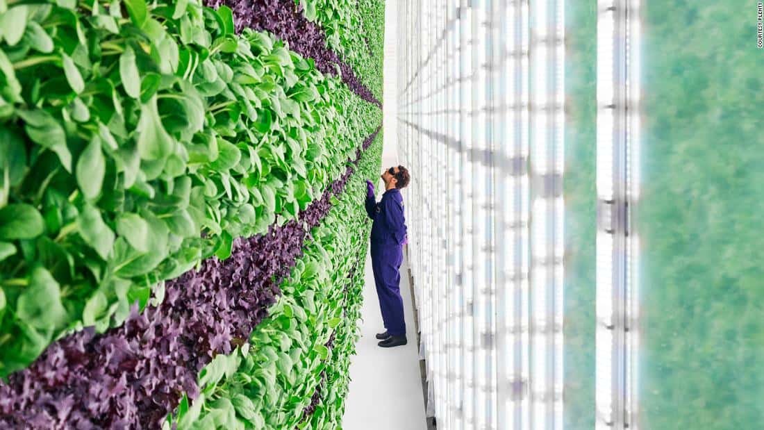 World's largest indoor vertical farm commences construction | Agritech ...