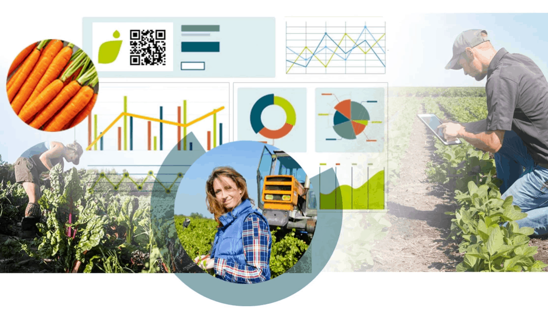 The Future of Food Production is Insight | Agritech Future