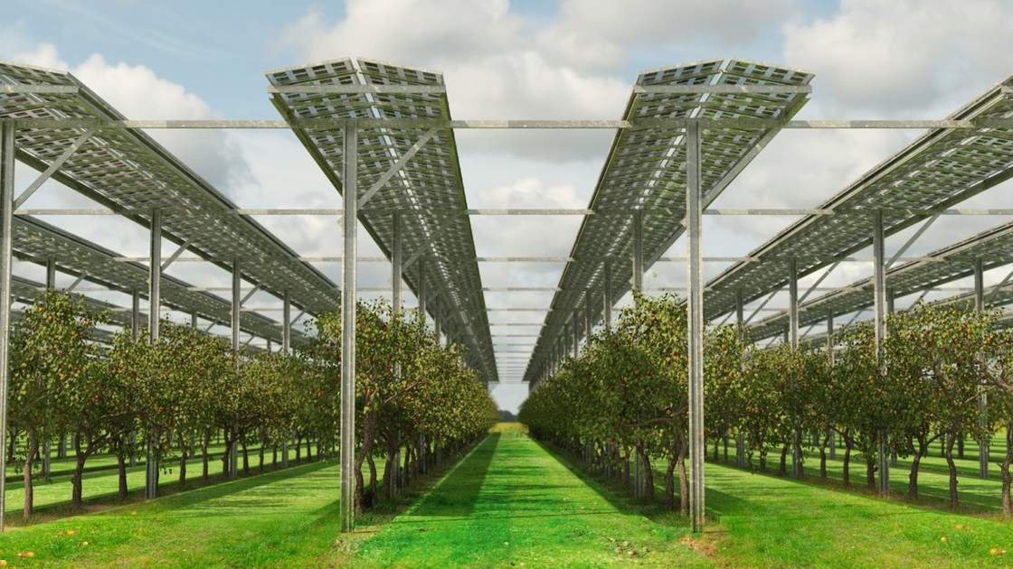 What is agrivoltaics? How can solar energy and agriculture work ...