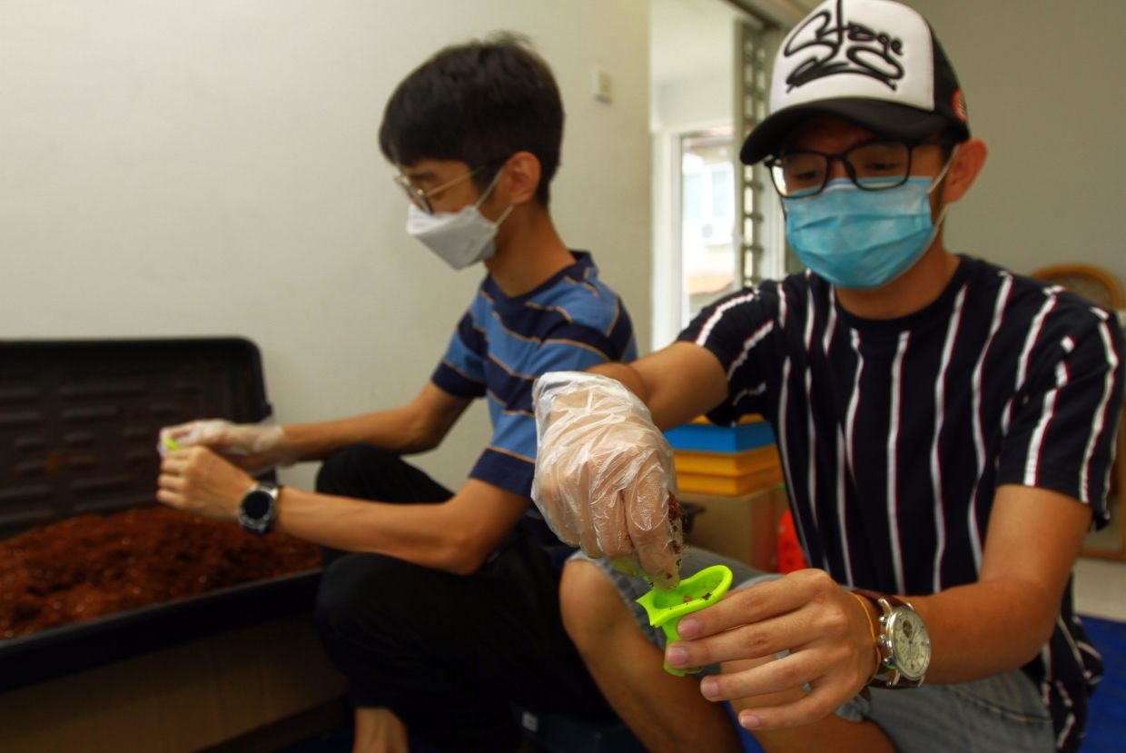 The 20-year-old CEO changing the face of farming | Agritech Future