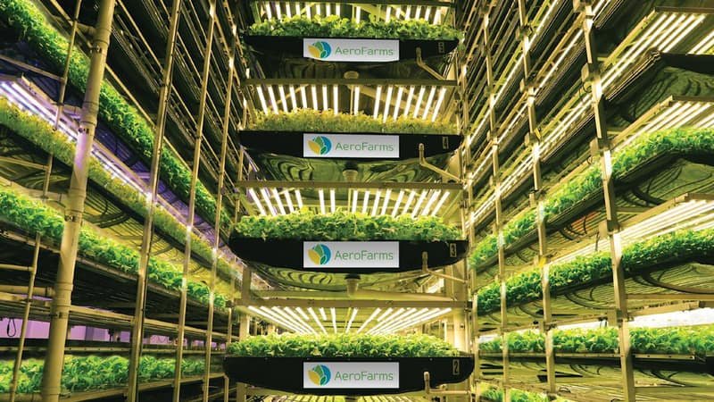 World's largest indoor vertical farm commences construction | Agritech ...