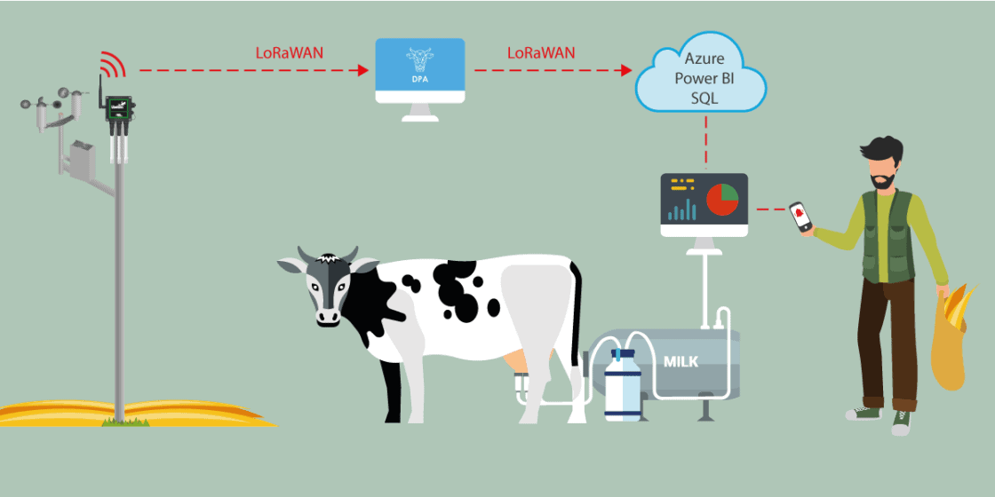 How a dairy farm increased their milk production by 18% with IoT and ...