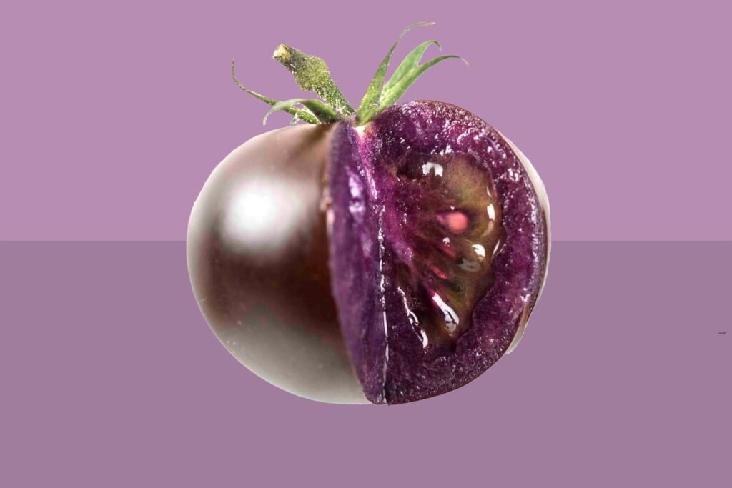 Revolutionary Purple Tomato Could Hold the Key to Living Longer ...