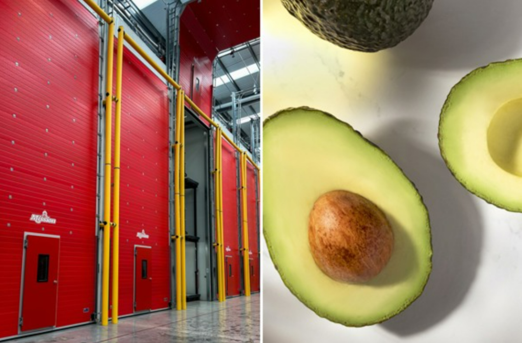 Mission Produce Unveils Ground-breaking Technology at Fruit Logistica | Agritech Future