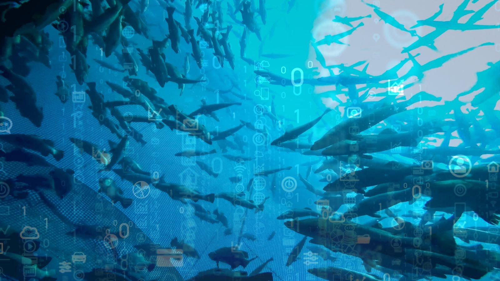 The Impact of IoT on Modern Fish Farming | Agritech Future