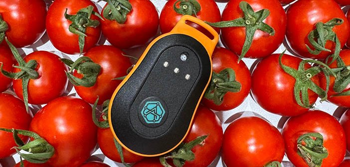 AI Grows Smarter: Revolutionising Tomato Cultivation with Cutting-Edge ...