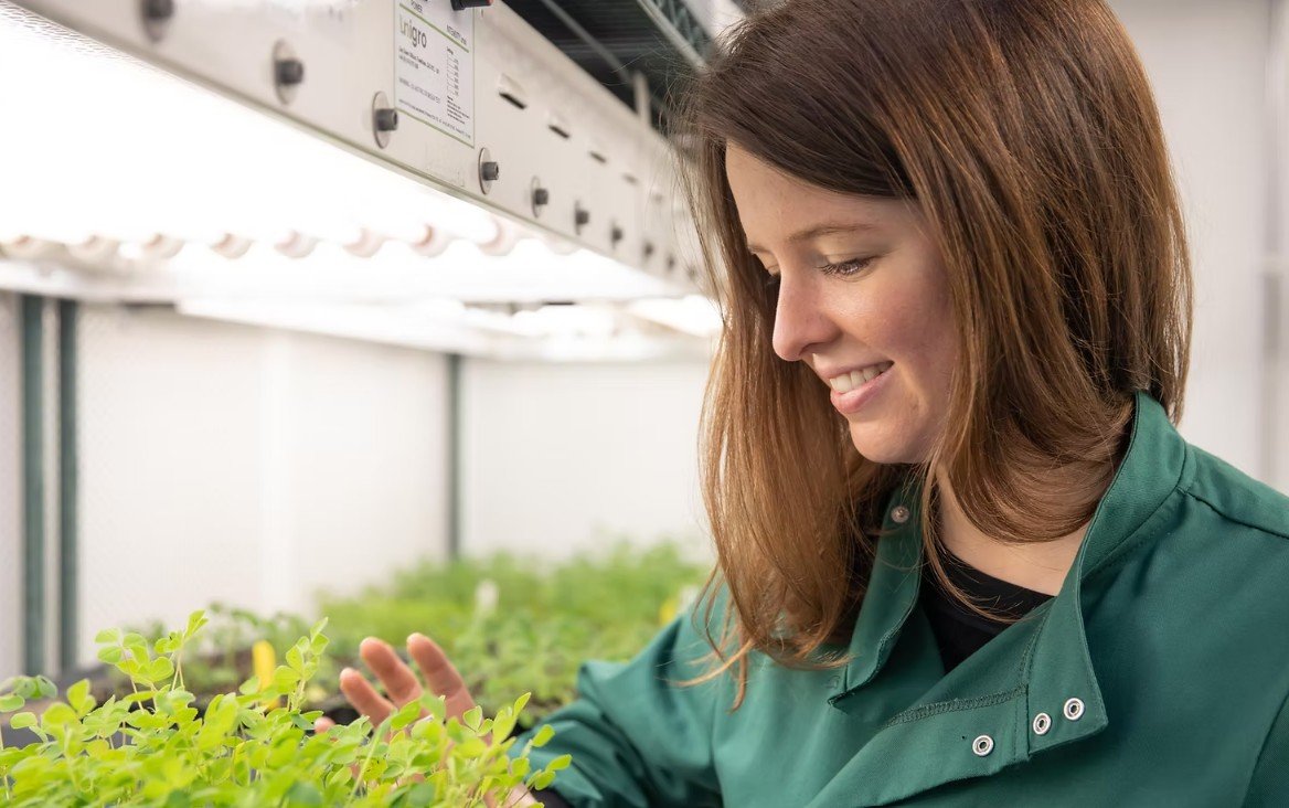 Algae-Based Fertiliser Boosts Crop Yields by 21%, Promising Sustainable ...
